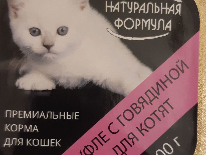 Влажный корм для котят