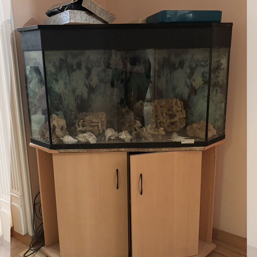 Аквариум с тумбой