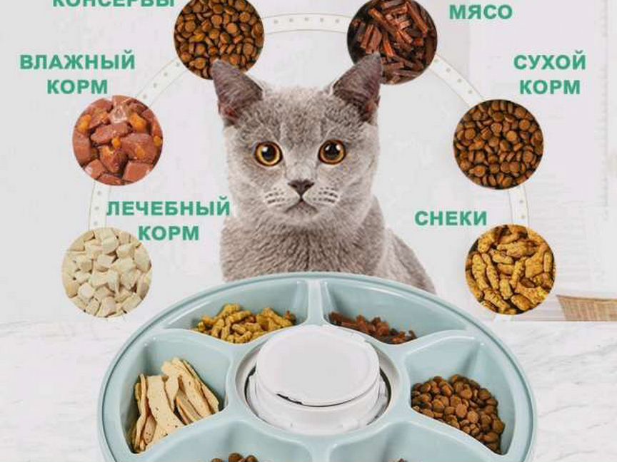 Автокормушка для кошек и собак Gurskiy Pets