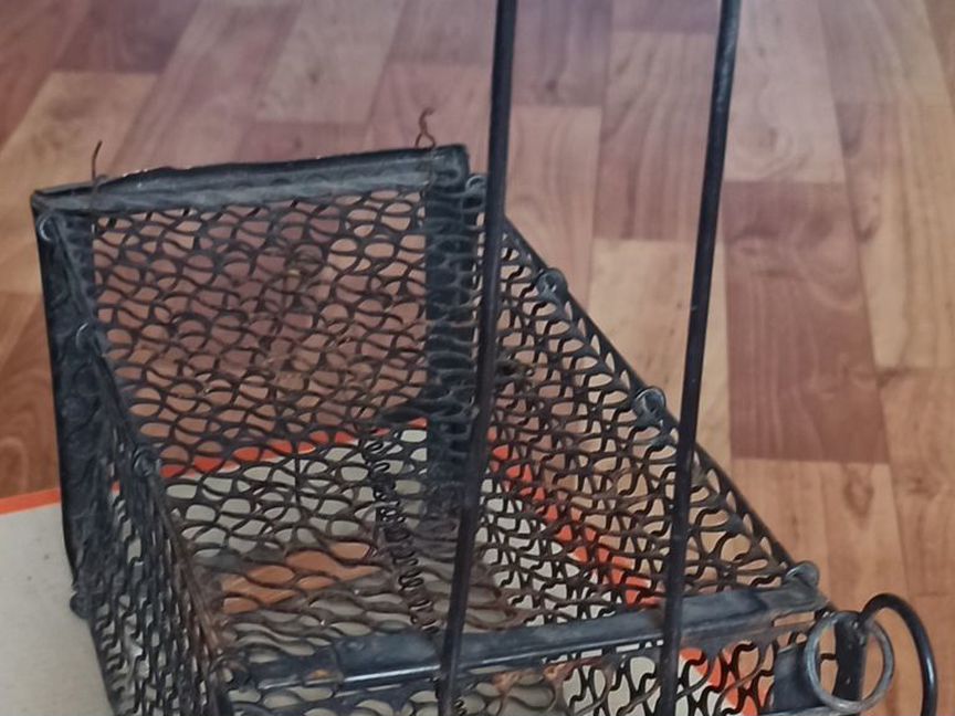 Крысоловка