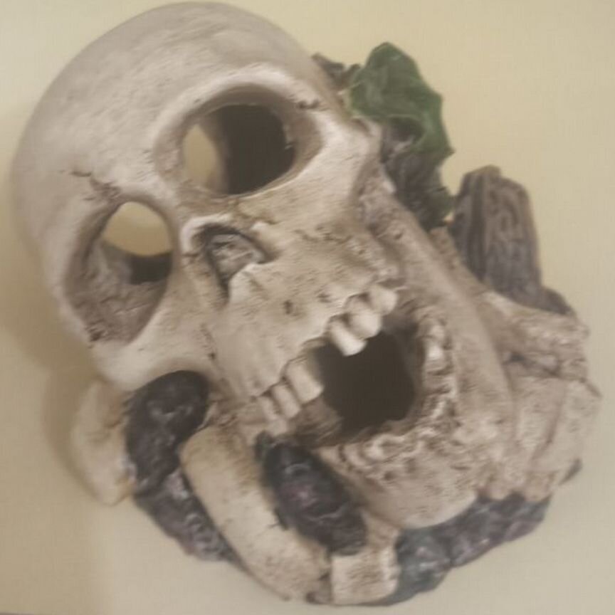 Череп для террариума