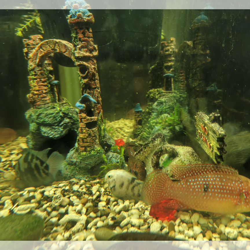 180 литров Аквариум