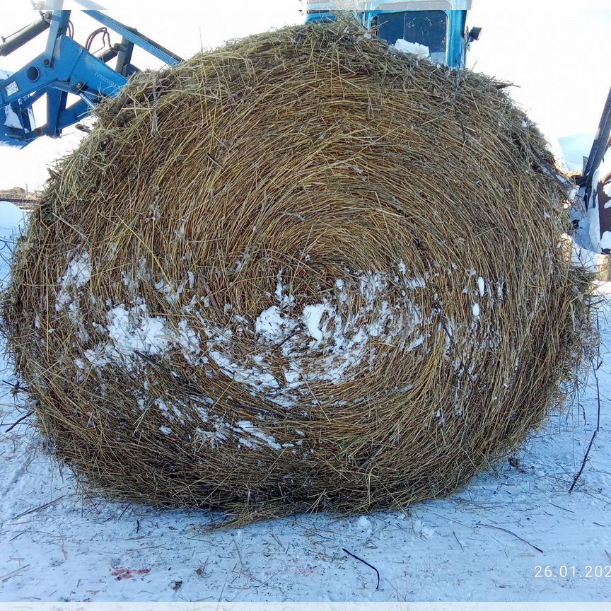 Сено, обмен