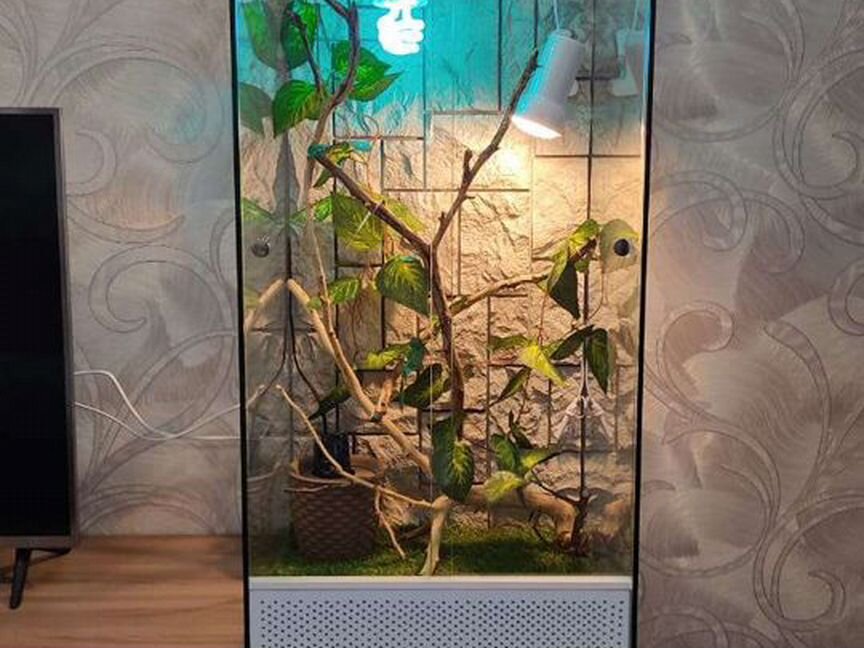 Аквариум,террариум,палюдариум,ремонт