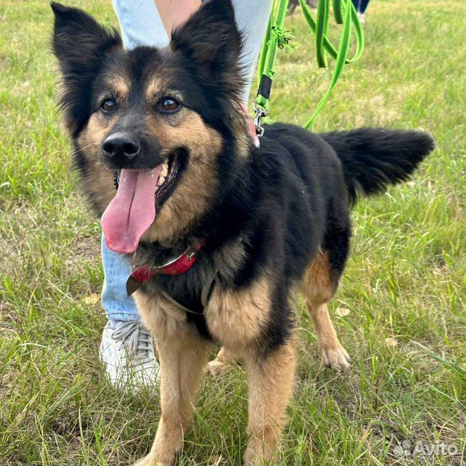 Прекрасная девочка хочет домой