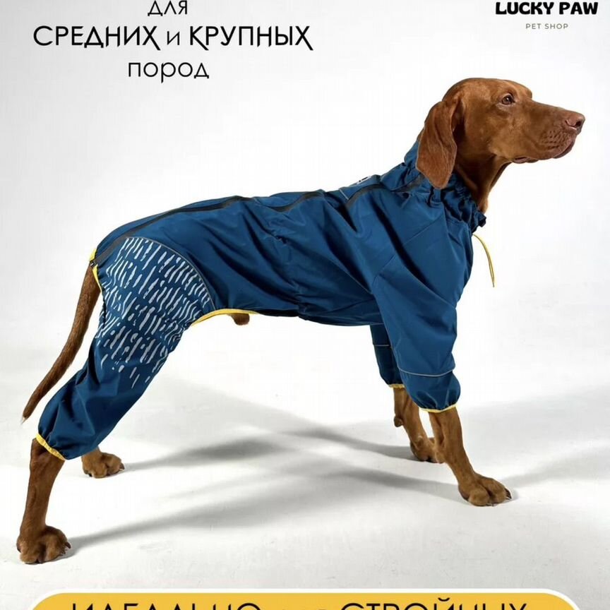 Комбинезон дождевик для собак кобель