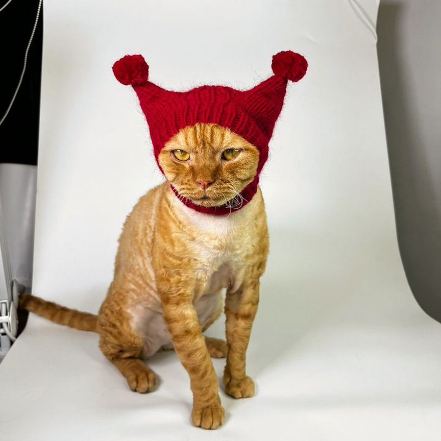 Шапочки для котиков