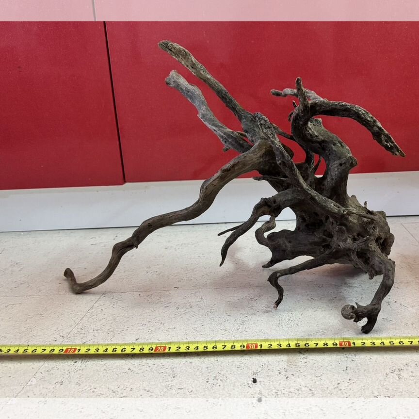 Коряга в аквариум красивая большая