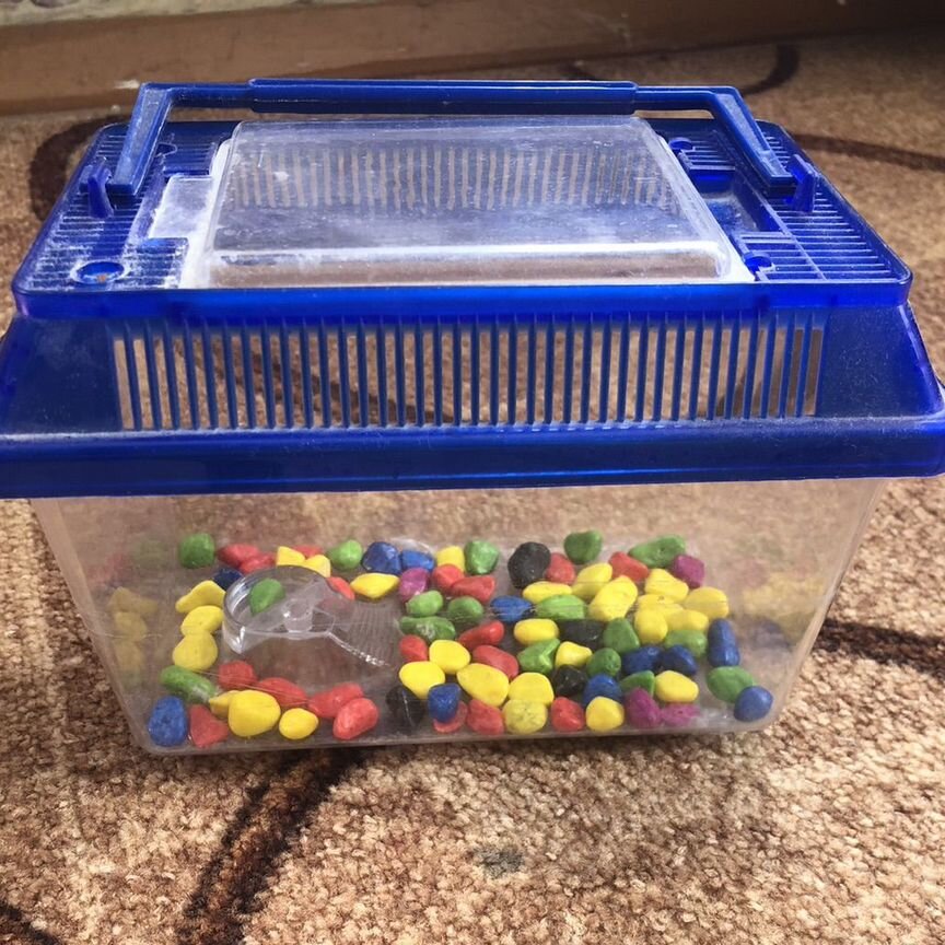 Аквариум для маленьких черепах