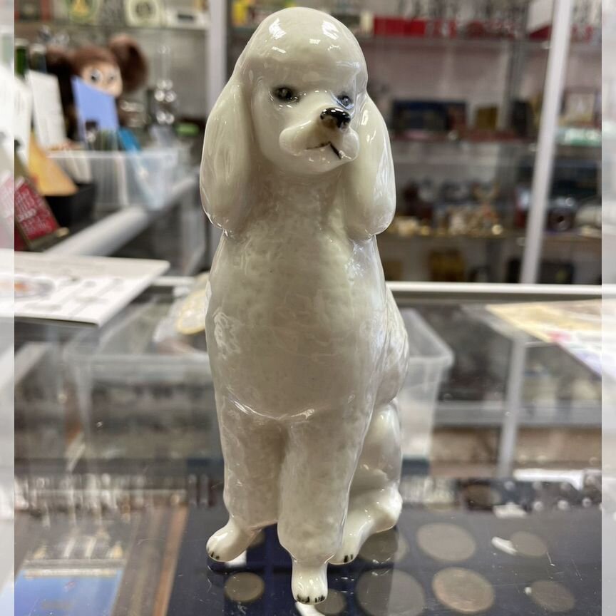 Фарфор - лфз пудель собака белый пудель лфз