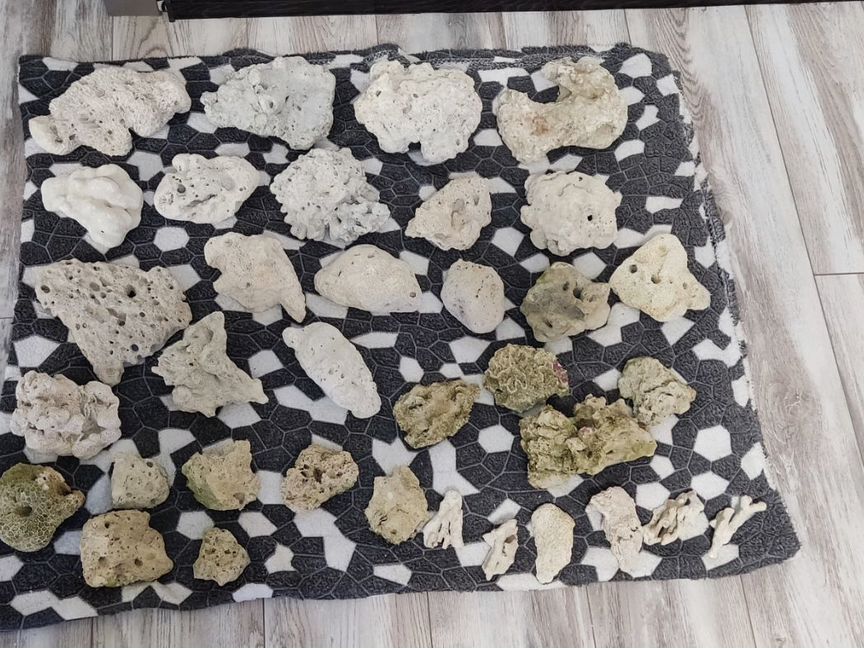 Сухой рифовый камень (срк)