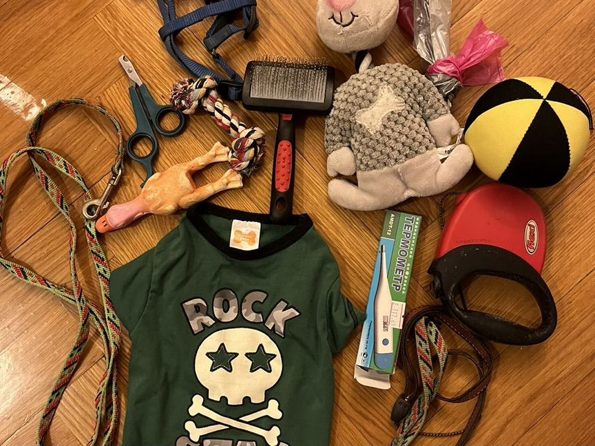 Коробка вещей для маленькой собачки