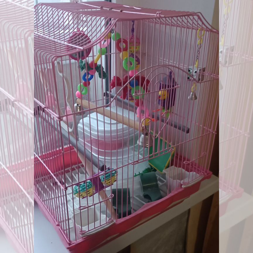 Клетка для волнистого попугая