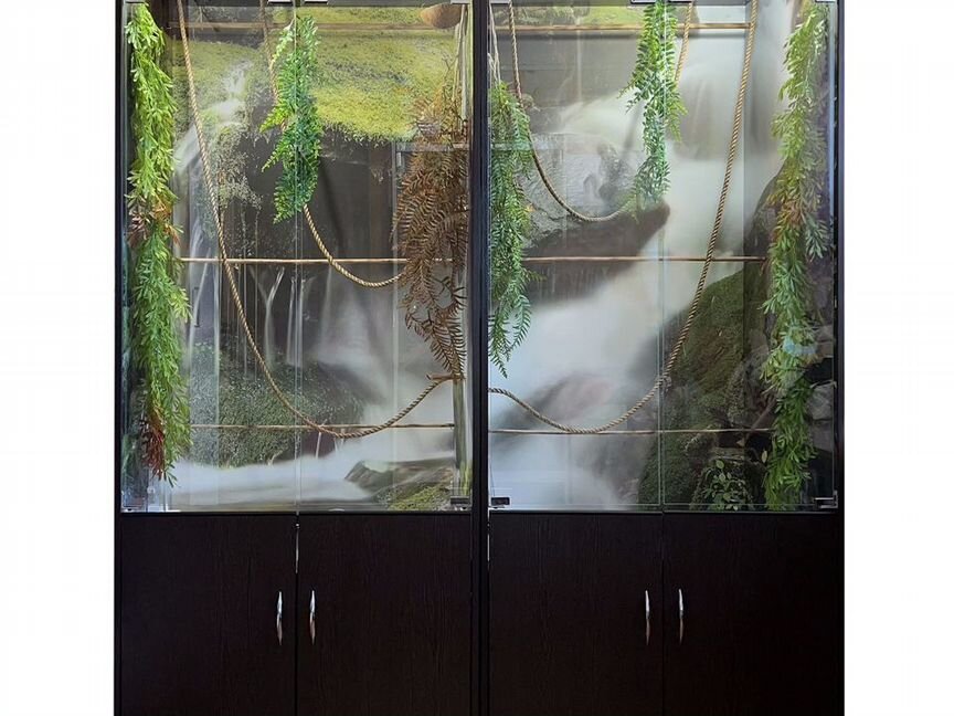 Террариум для животных