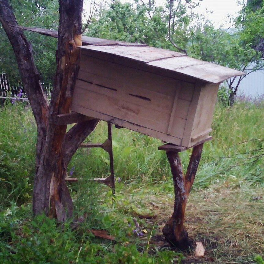 Колода для пчел