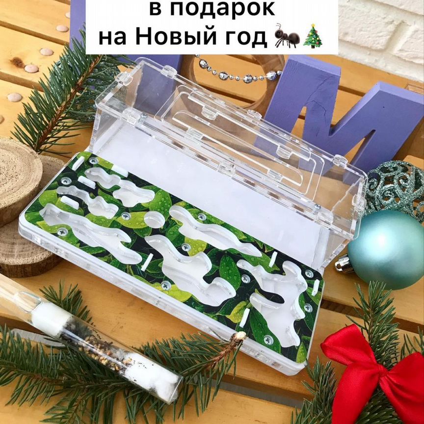 Муравьиная ферма на Новый год