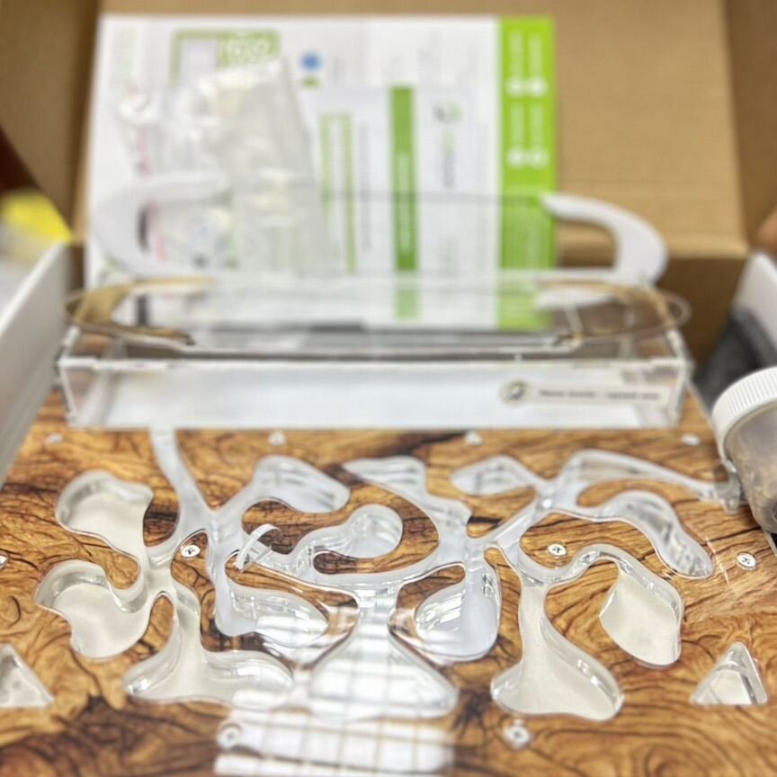 Муравьиная ферма формикарий antplanet "Стандарт"