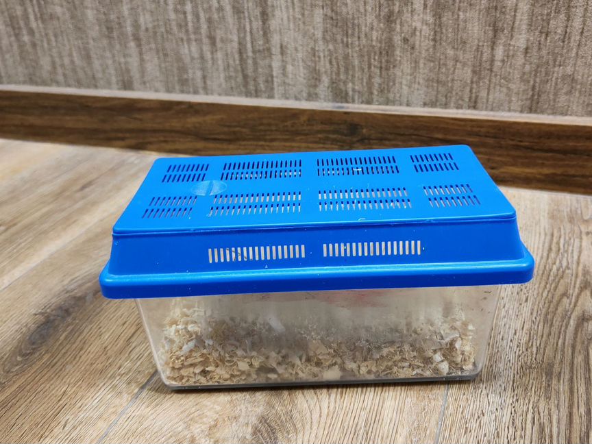 Переноска, контейнер для грызунов