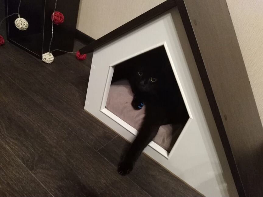Домик для котика