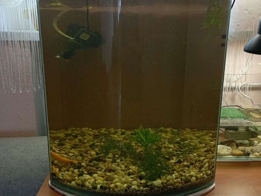 Аквариум 160л