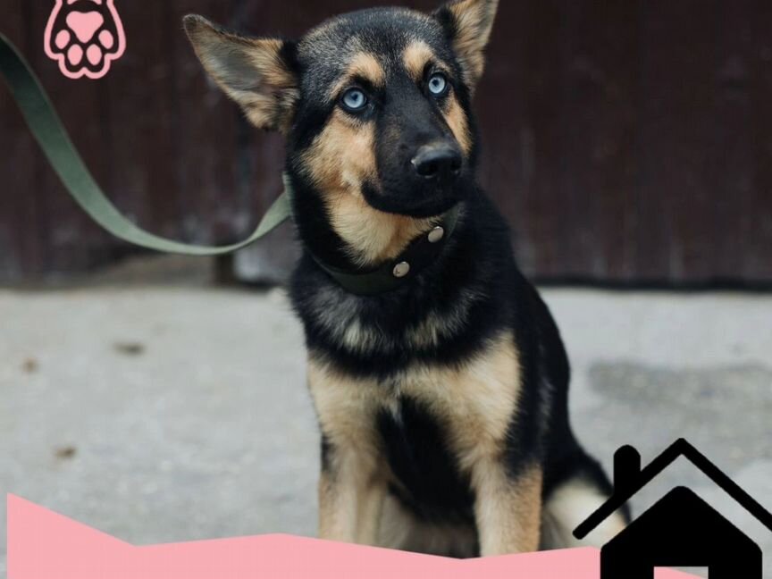 Скандинавская богиня Руна