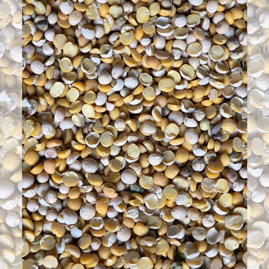 Зерноотходы горох колотый