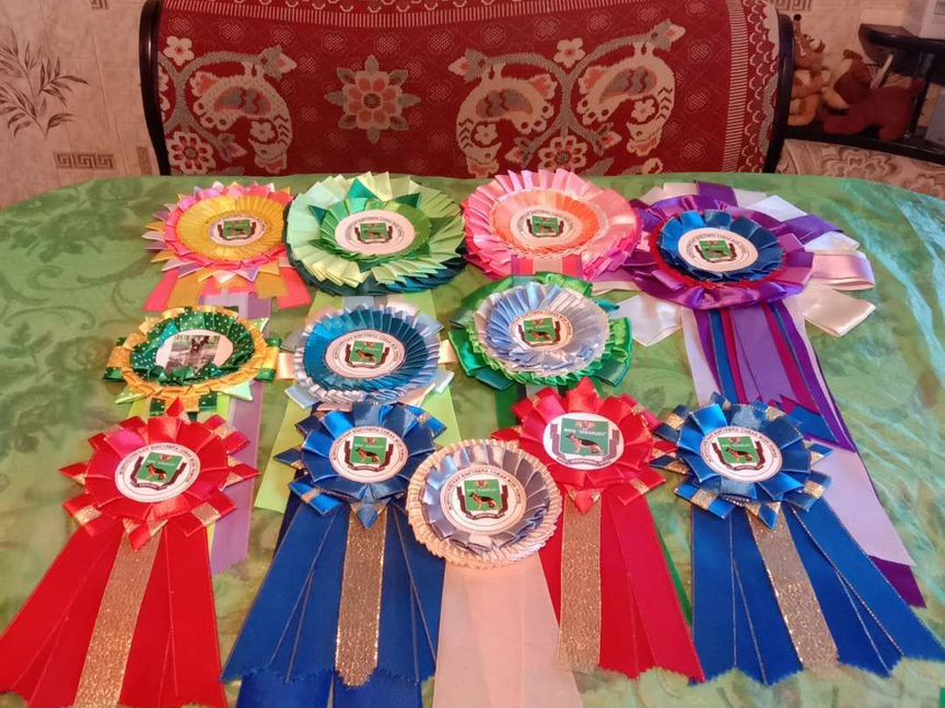 Наградные розетки для собак