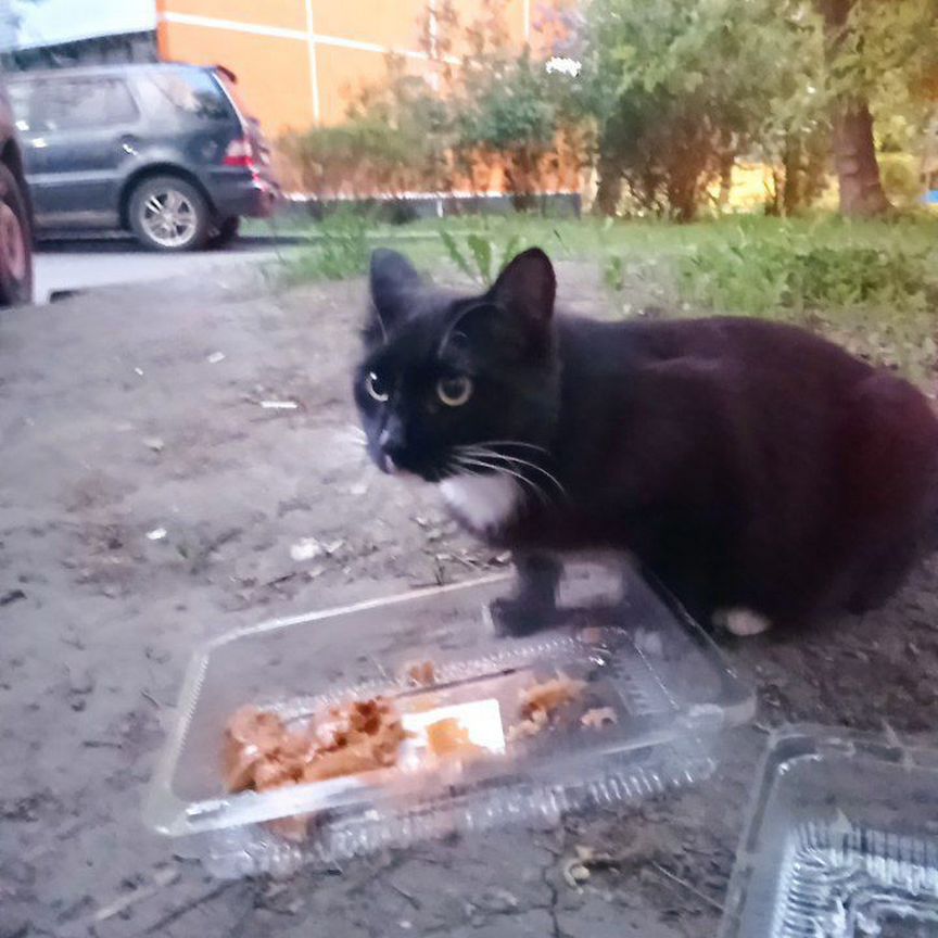 Помогите найти мне семью