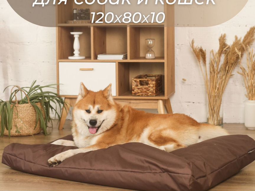 Лежанка антивандальная со съёмным чехлом 120х80х10