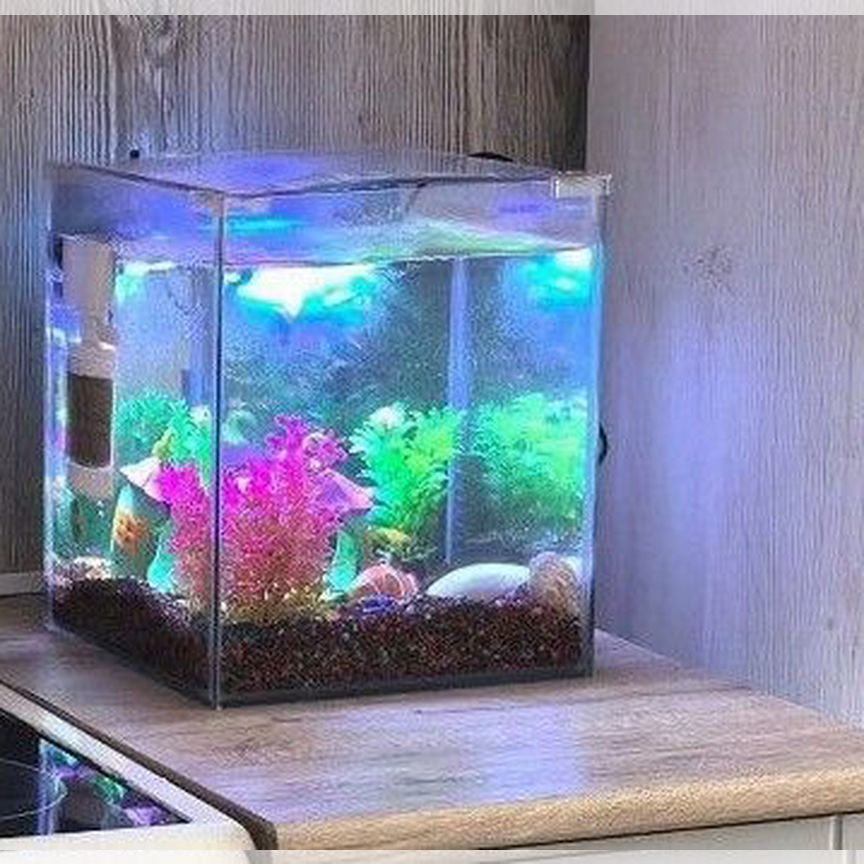 Аквариум куб 15л
