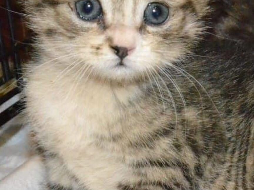 Мальчик-красавчик 1 месяц