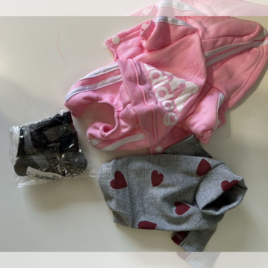 Одежда для собак мелких пород