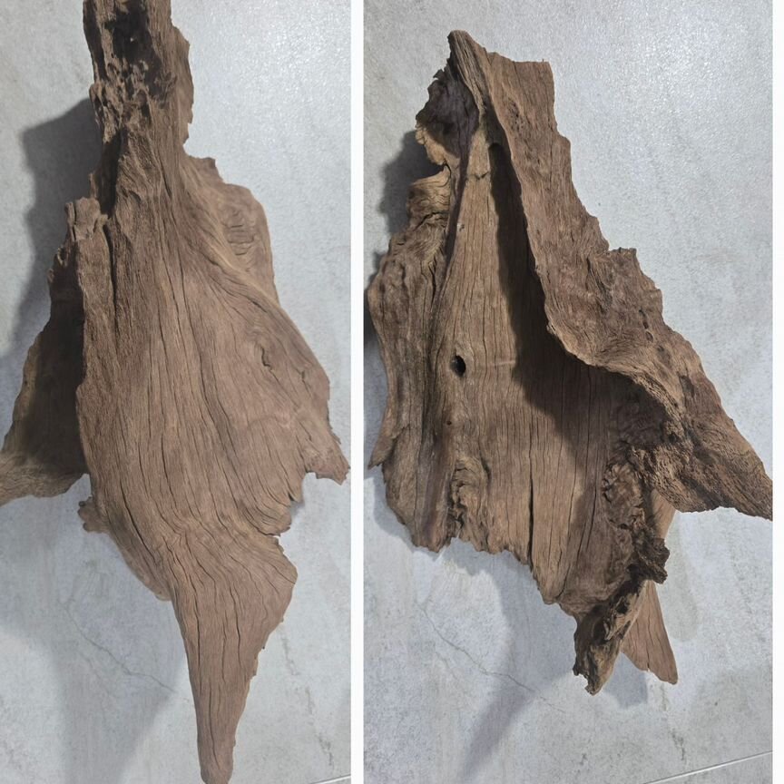 Коряги мангровые