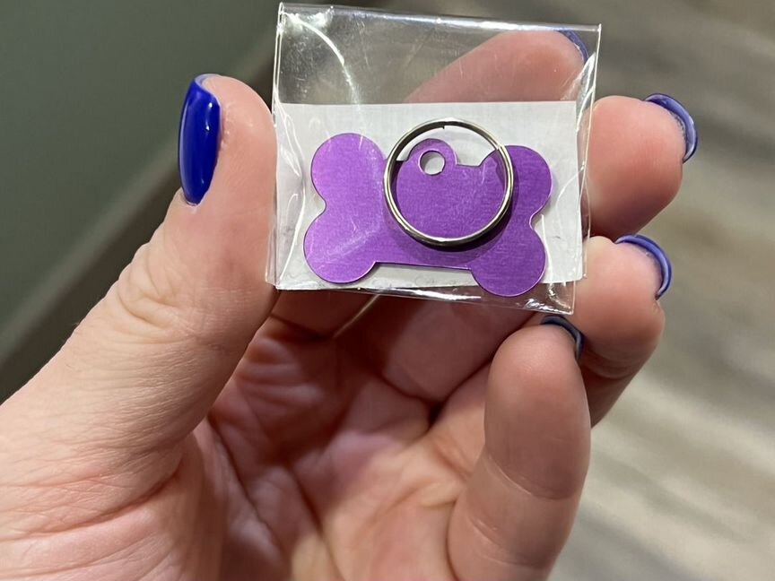 Адресник, шлейка, ошейник для собак