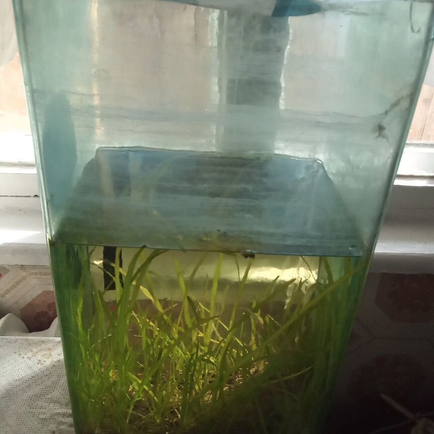 Продам аквариум 15л