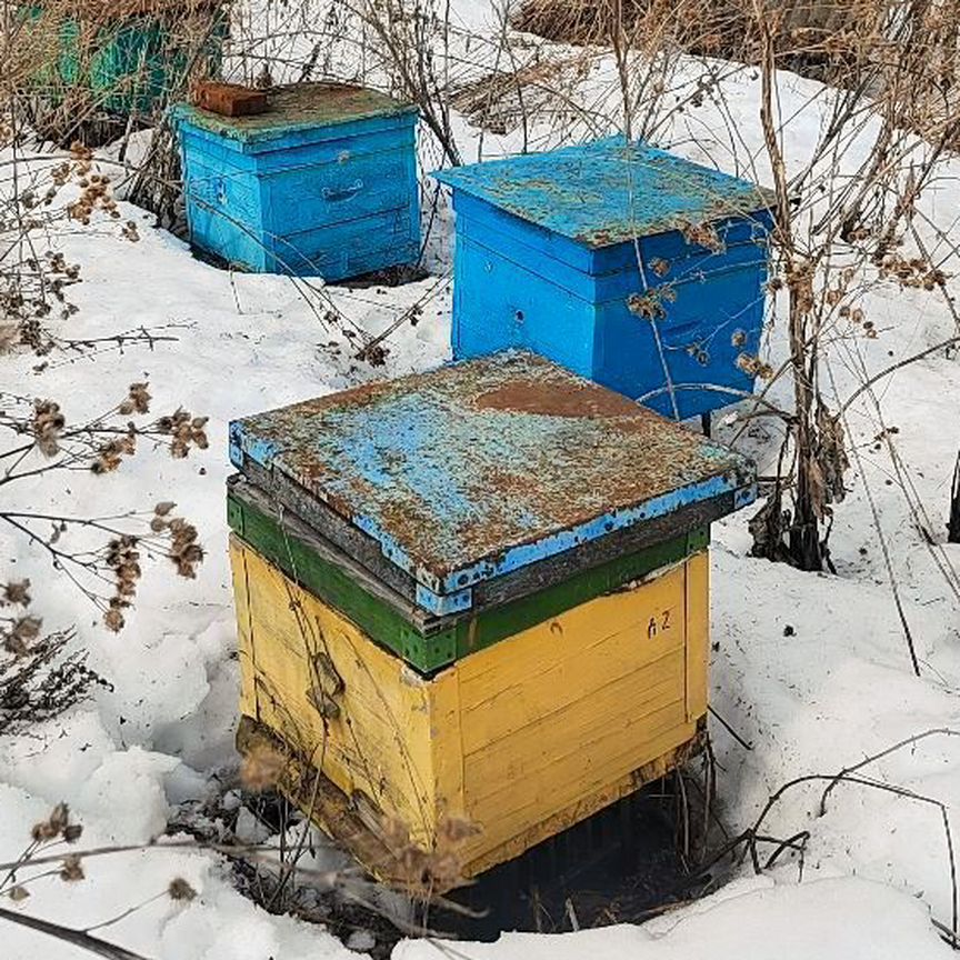 Ульи для пчел