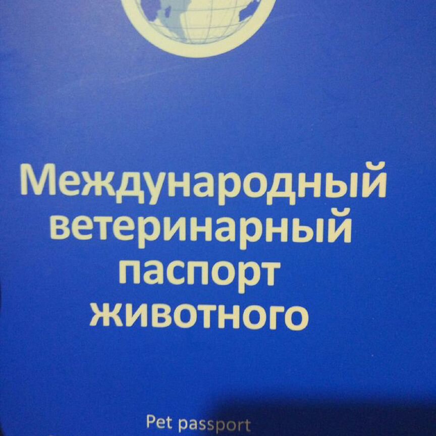 Ветеринарный паспорт