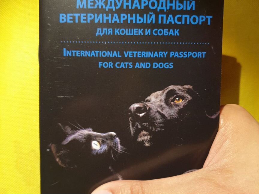 Ветеринарные паспорта для всех