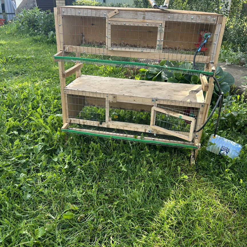 Клетка для перепелок бу