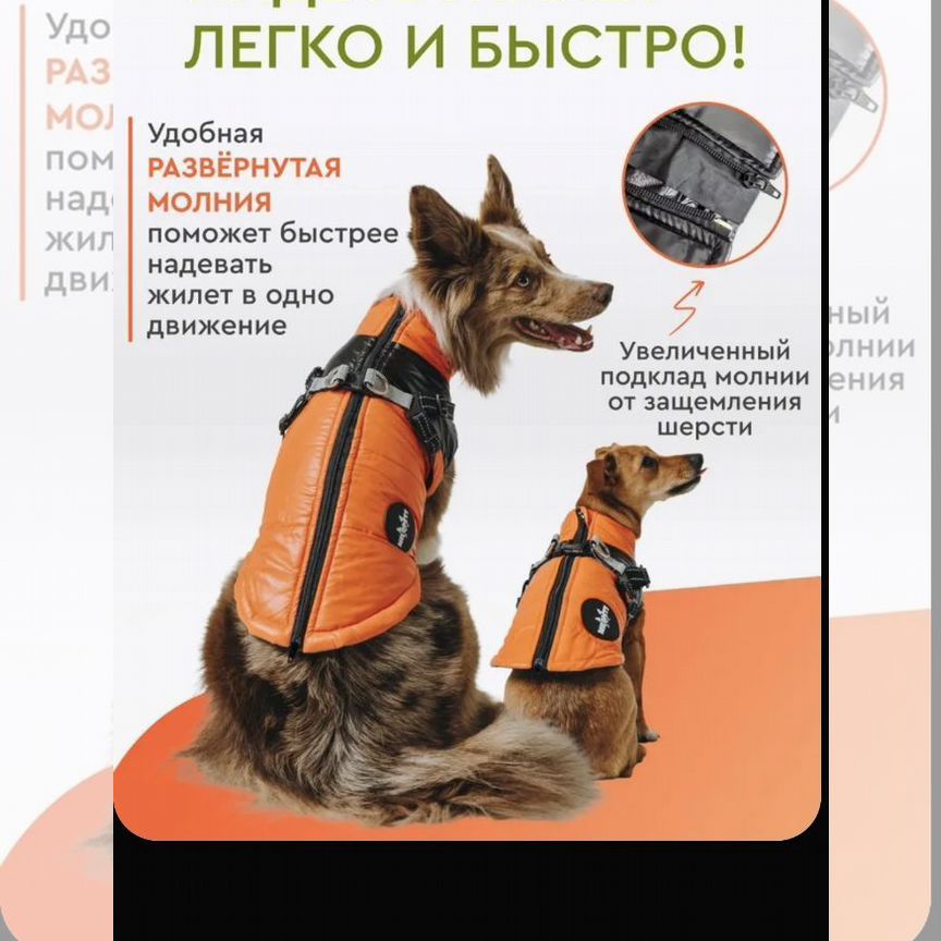 Жилетка для средних собак