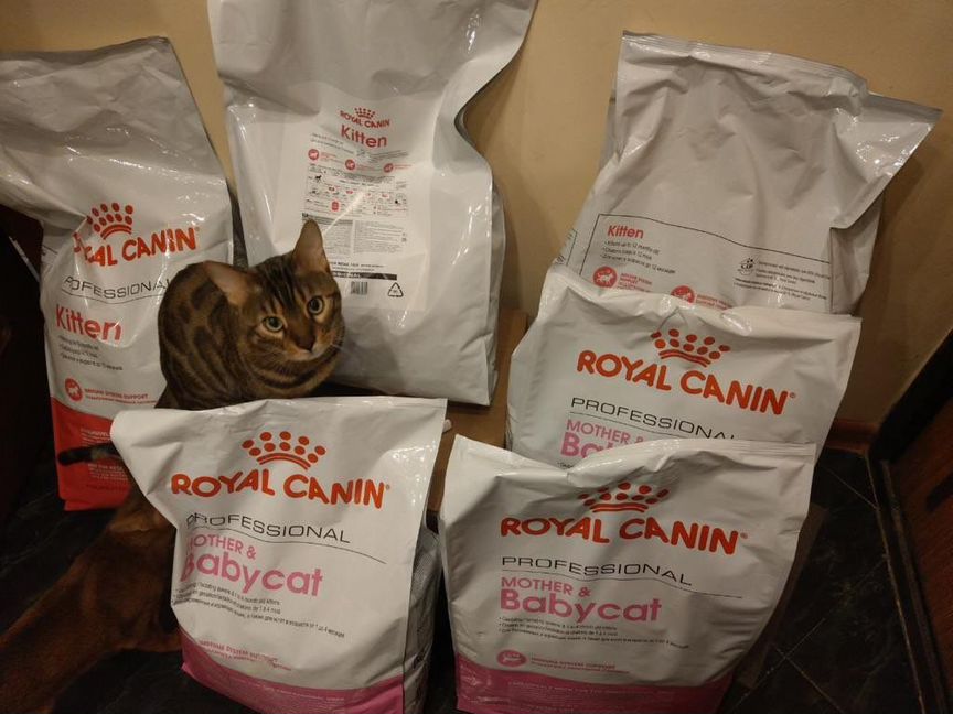 Корм для кошек Royal Canin (Роял Канин)