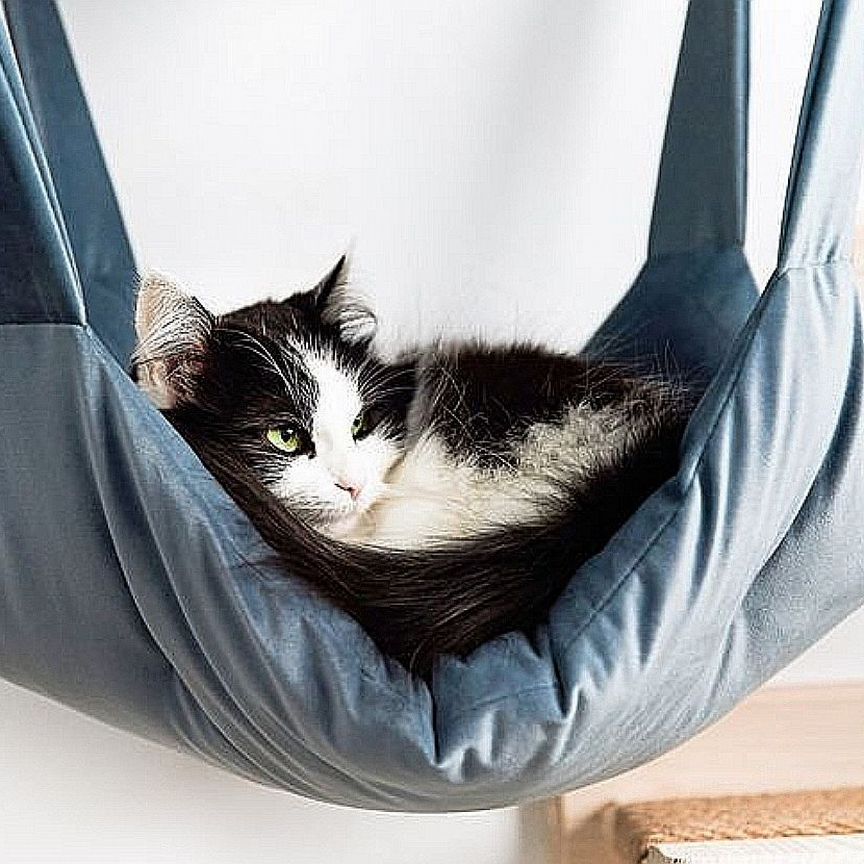 Игровой настенный комплекс для кошек