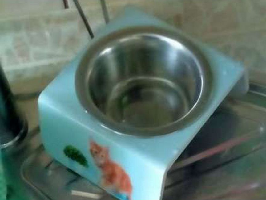 Миска для кошек
