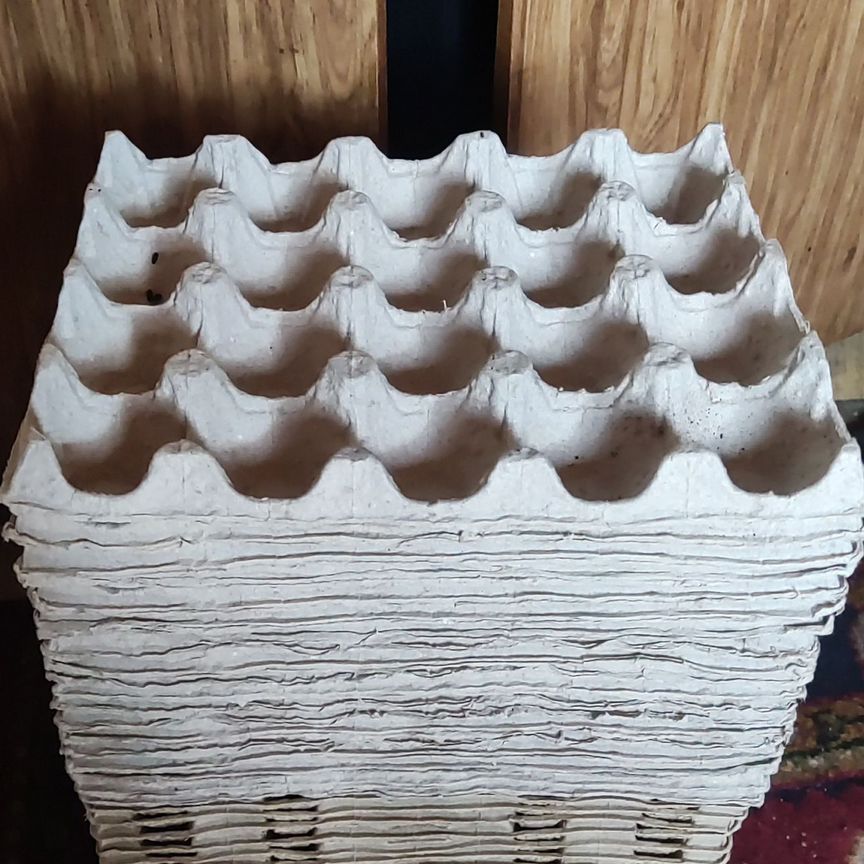 Лотки для яиц