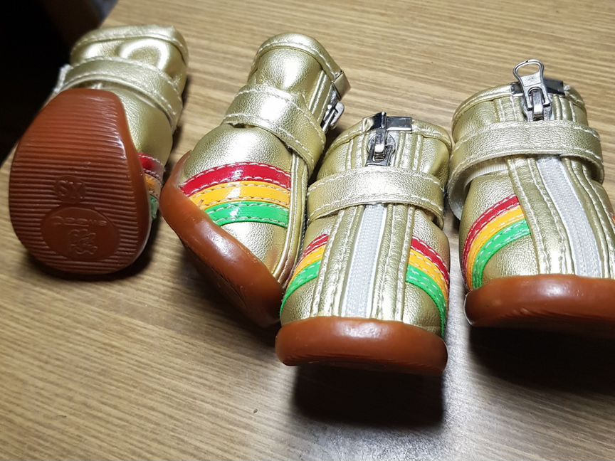 Ботиночки для маленьких собак