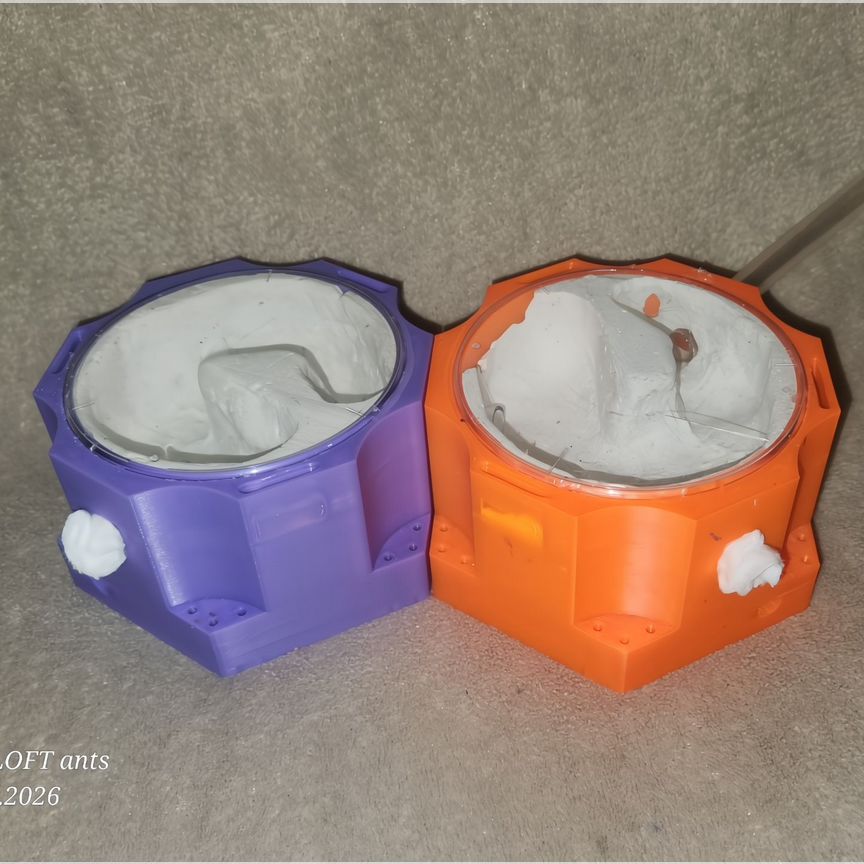 Модульный гипсовый формикарий OFT 2.1