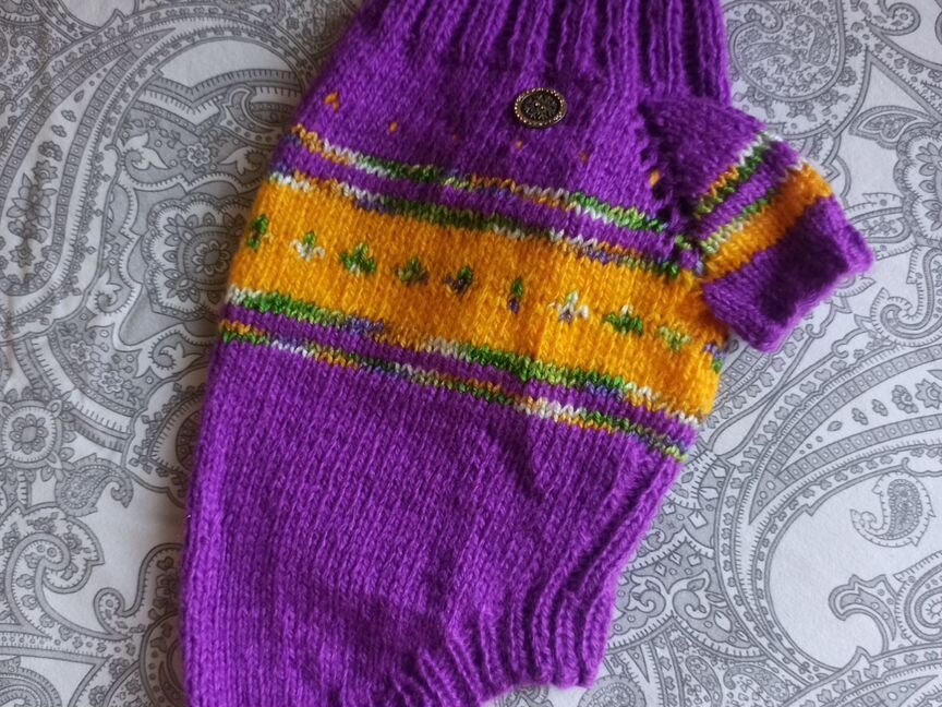 Вещи для маленьких собак