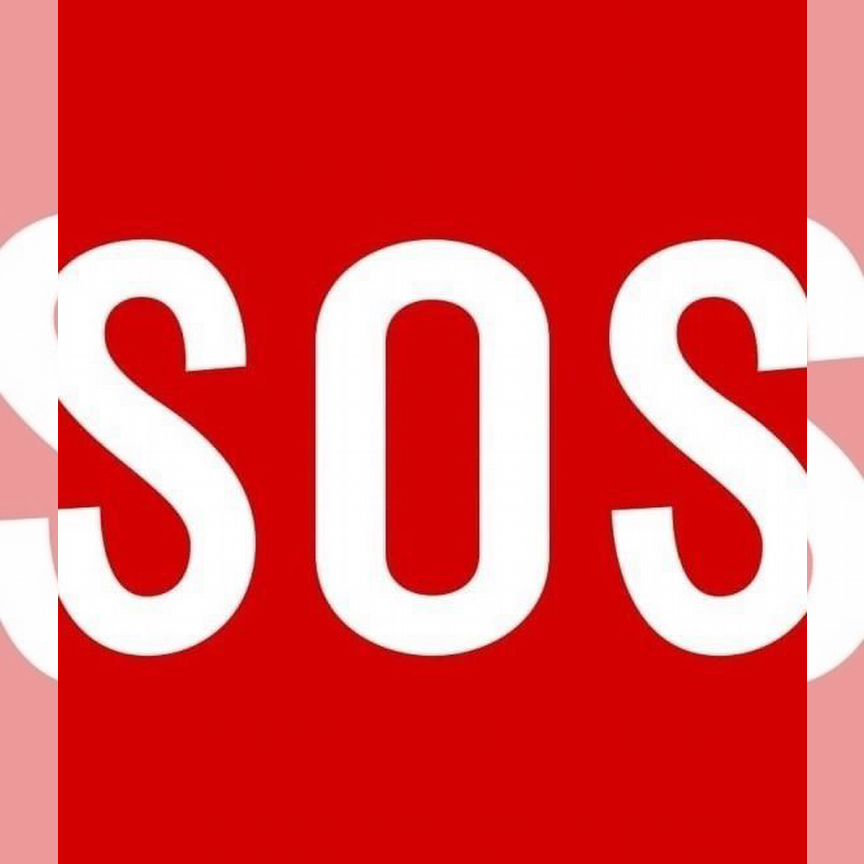 Помогите спасти бездомных животных