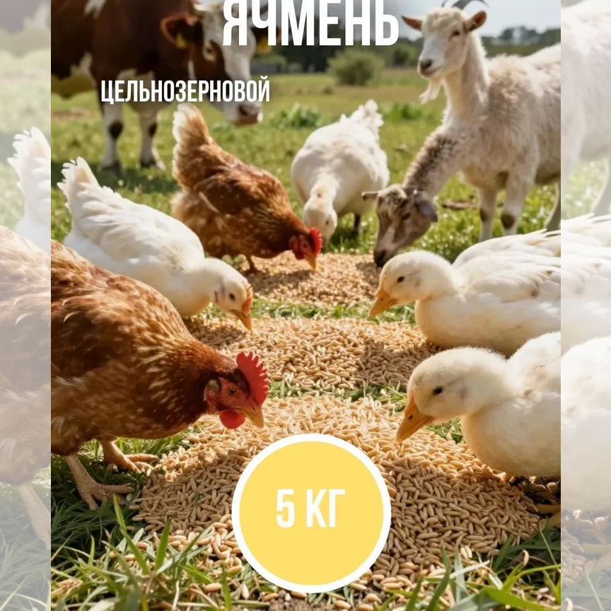 Ячмень привезу