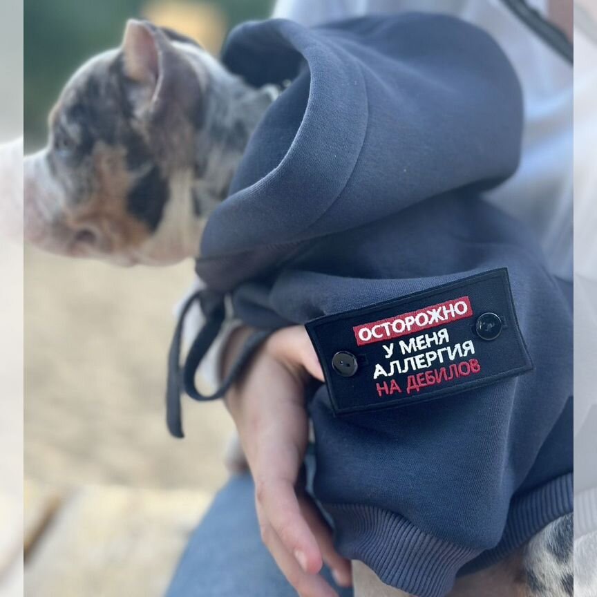 Одежда для собак